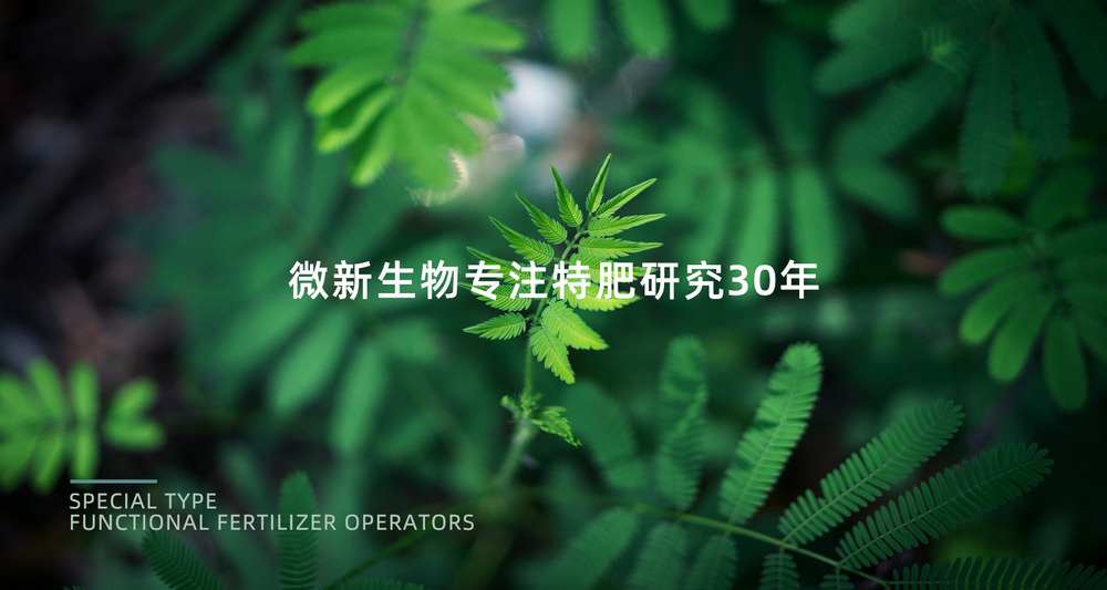 官网首页 - 微新生物