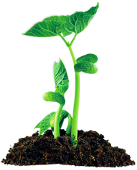 官网首页 - 微新生物